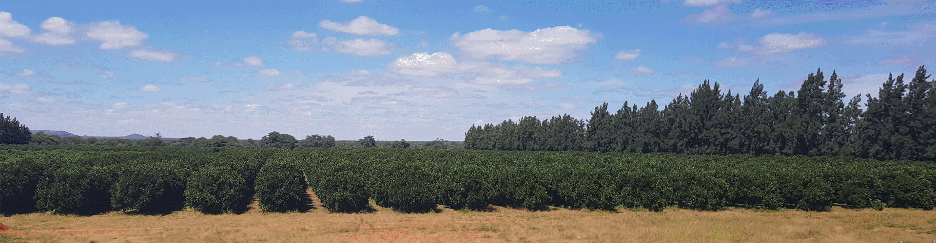 Product Control for Agriculture